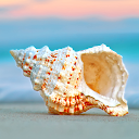 Beach Wallpapers - Download